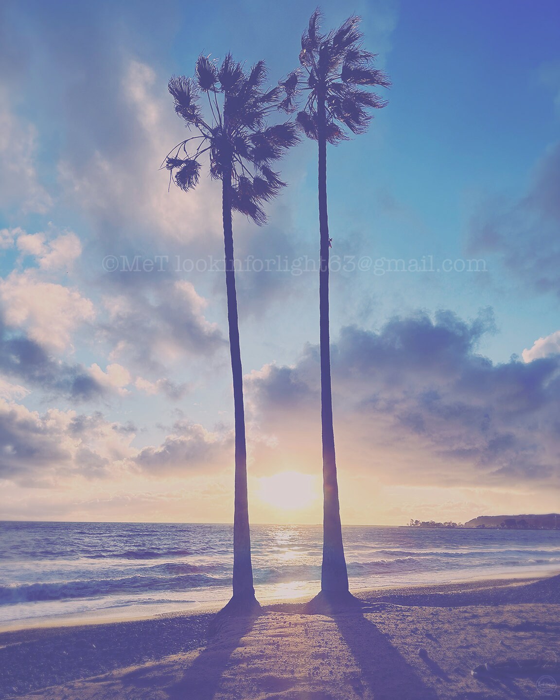 Palm Trees | Ocean Sunset | California Photo | Beach Art | Orange ...