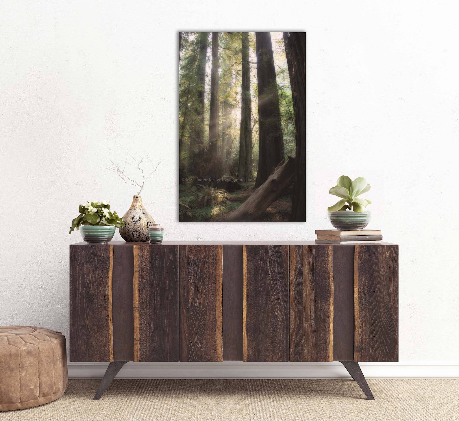 Tree Photo | Redwoods Art | Redwood Forest Photo | Woodland Tree Print ...