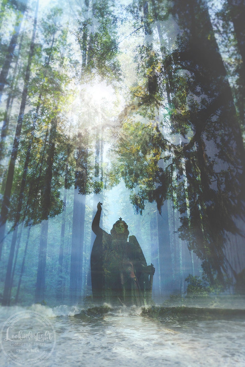 Angel Vision Photo Art | Angel in the Woods | Surreal Forest Art ...