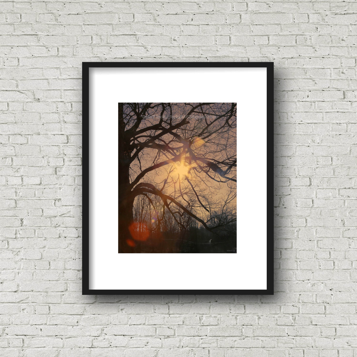 Abstract Tree Photo | Surreal Woodland Art | Tree Sunlight Print ...