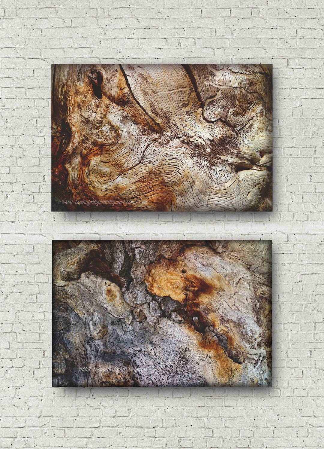 Abstract Tree Photo Set | Tree Bark Print Series | Macro Forest Photo ...