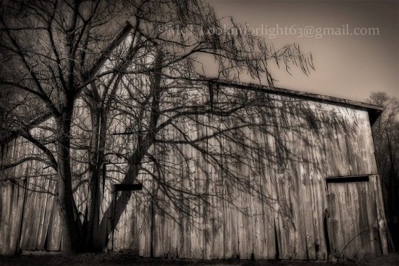 Indiana Barn and Tree Photo Sublime Tree Shadow Art Old - Etsy
