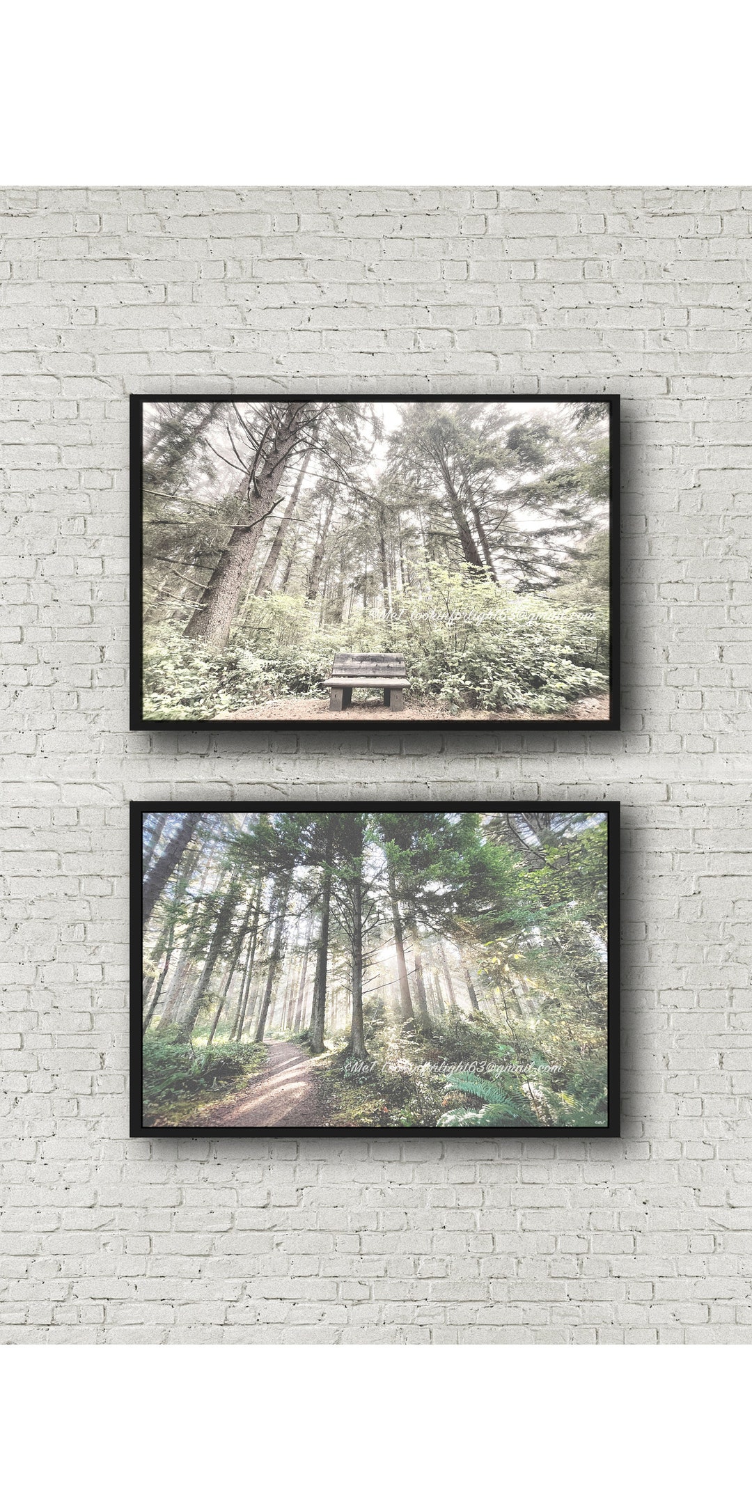 Dreamy Forest Photo Set | Woodlands Print | Tree Photo Art | SALE Photo ...