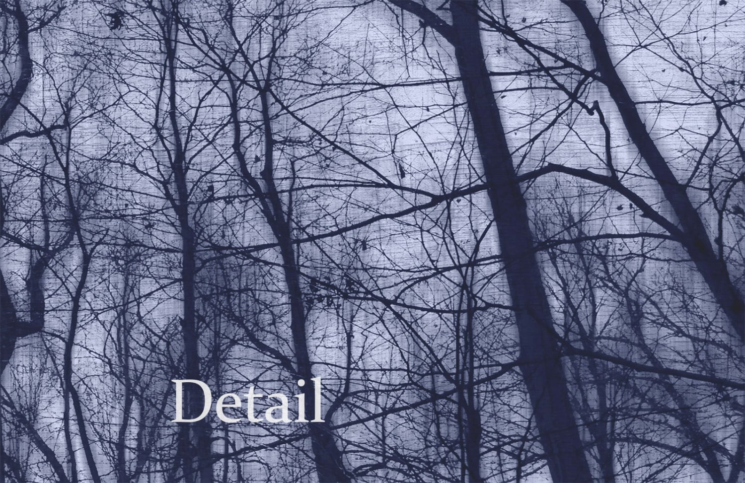 Blue Abstract Tree Art, Surreal Tree Photo and Sunlight, Sublime Tree ...