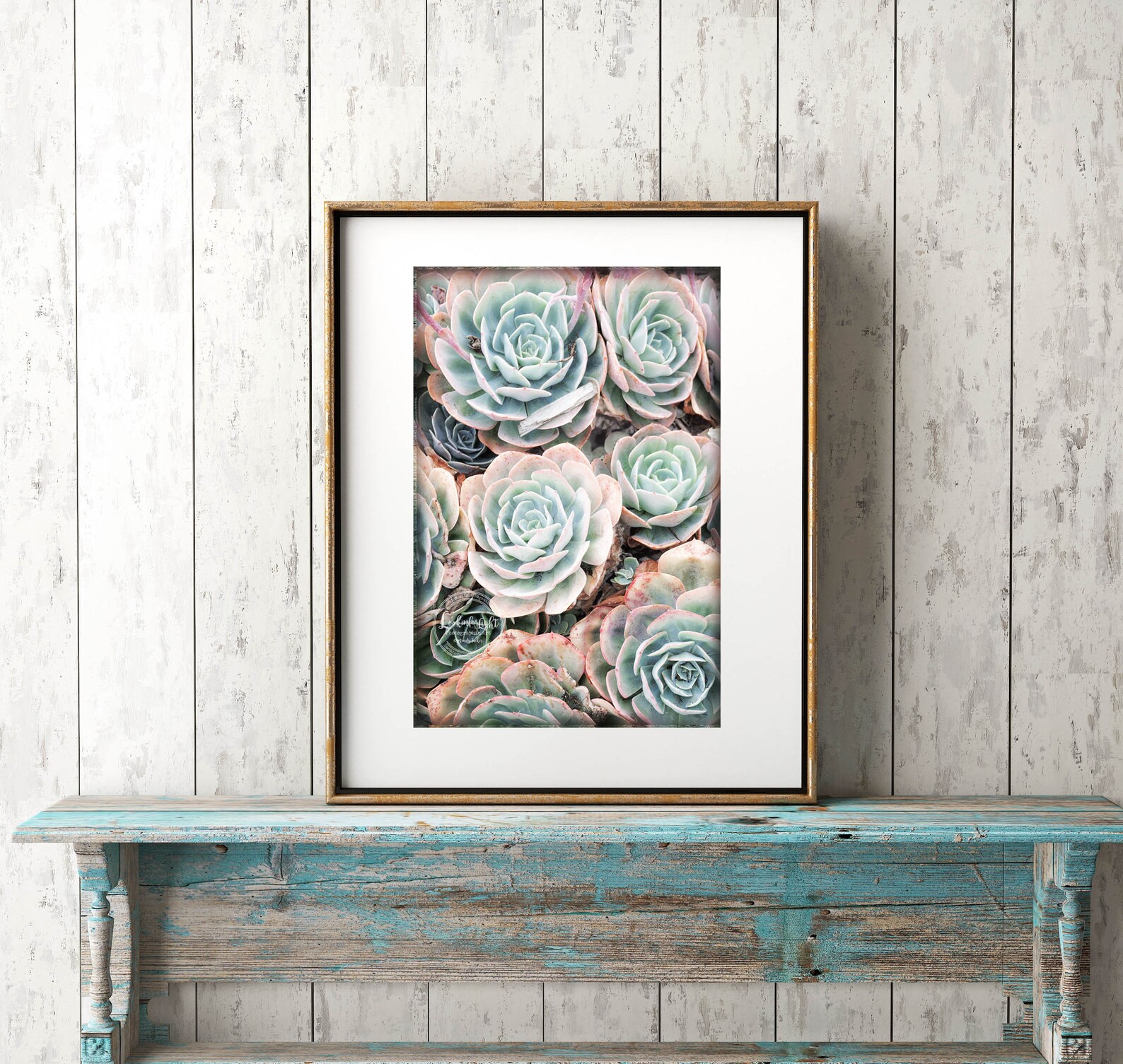 Succulent Plant Photo | Botanical Art | Mint Plant Print | Organic ...