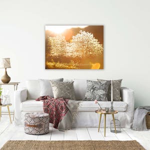 Sunlight & Trees Photo | Golden Sunshine Art |tree Blossoms Print | Sun ...