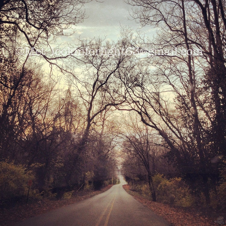 Indiana Photography, Midwest Country Road, Winter Woodland Road, Road ...