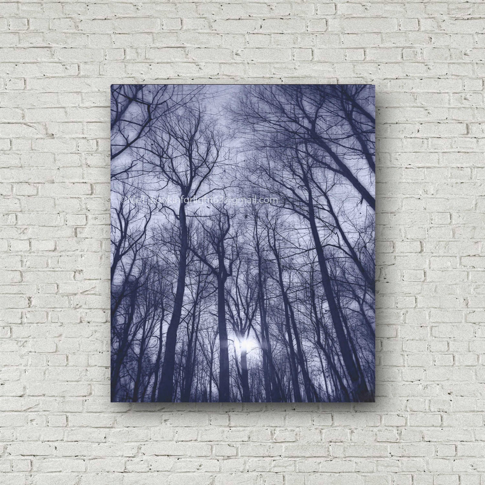 Blue Abstract Tree Art, Surreal Tree Photo and Sunlight, Sublime Tree ...