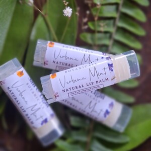 Salt and Light - Etsy