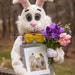 Digital Photoshop Template Easter Bunny Composite Image for - Etsy