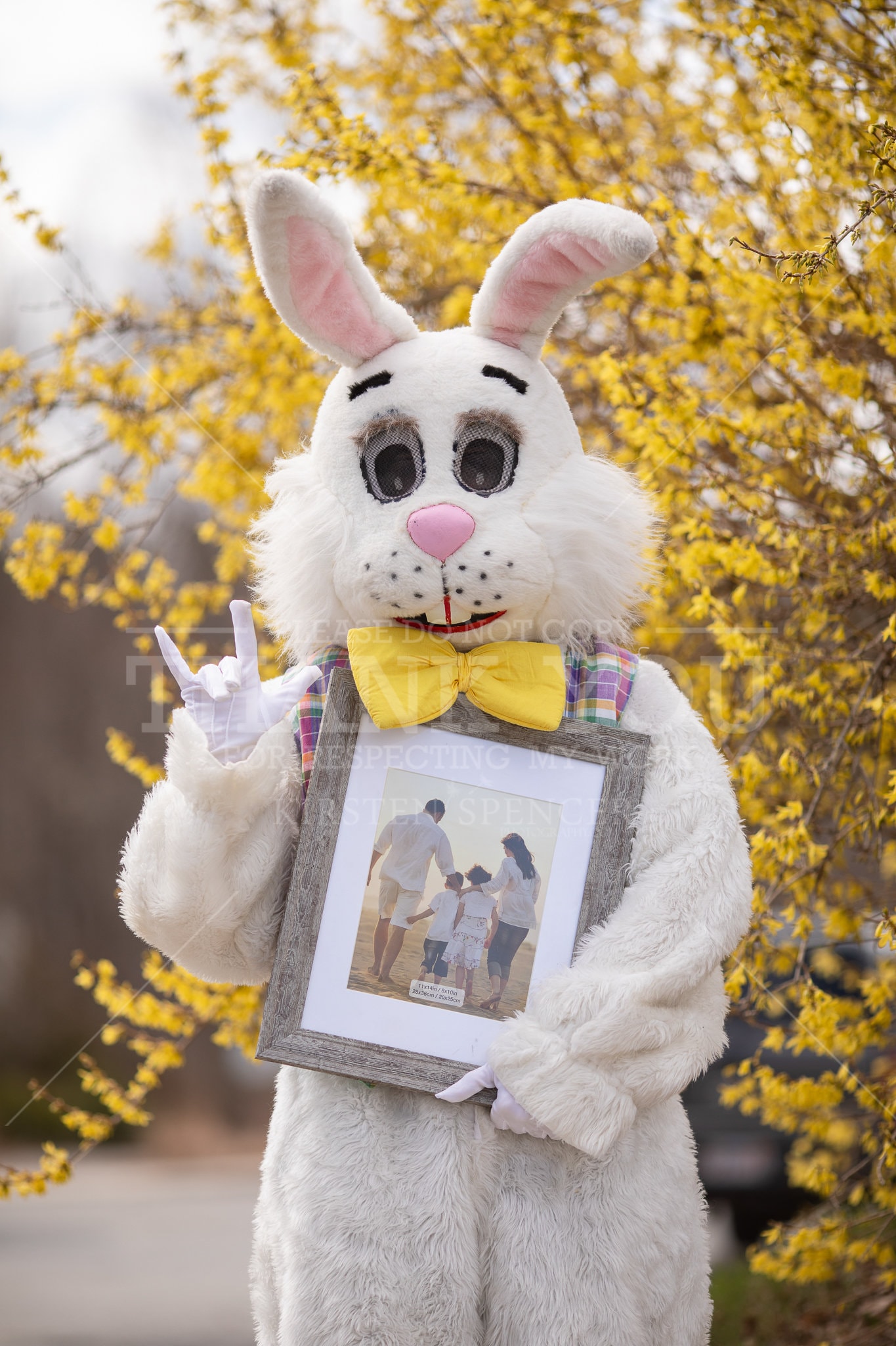 Digital Photoshop Template Easter Bunny Composite Image ASL I LOVE YOU ...
