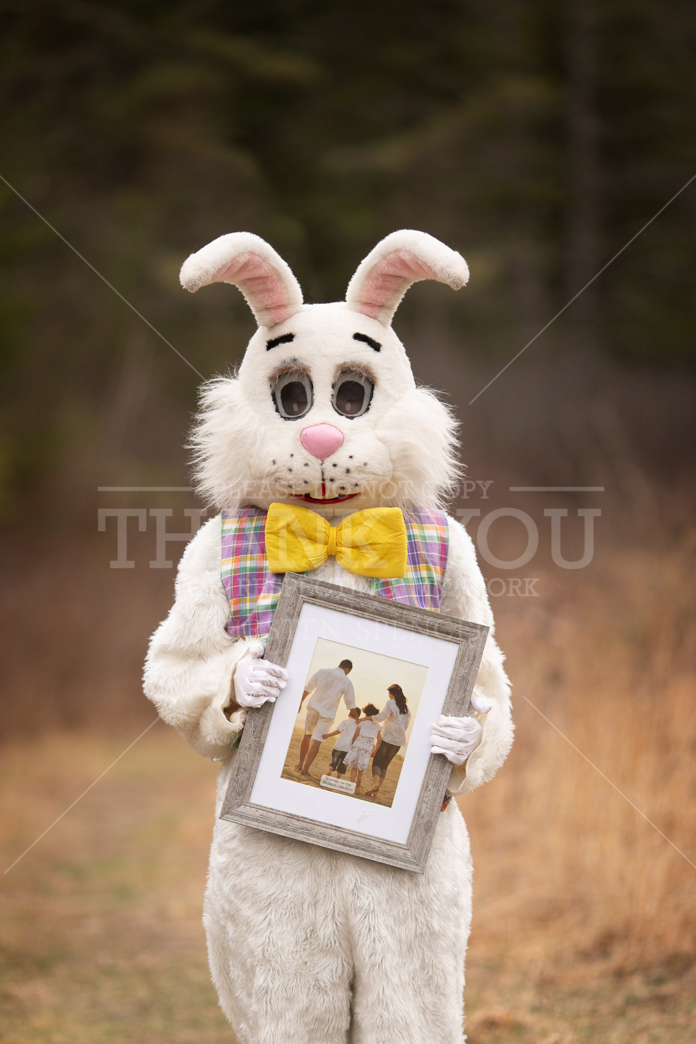 Digital Photoshop Template Easter Bunny Composite Image for ...