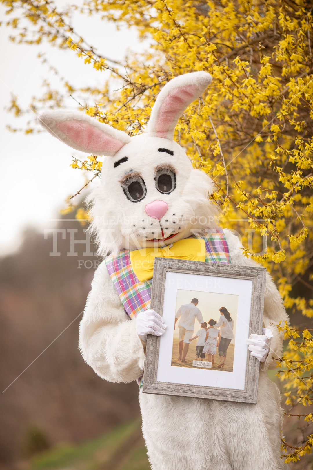 Digital Photoshop Template Easter Bunny Composite Image- Horizontal and ...
