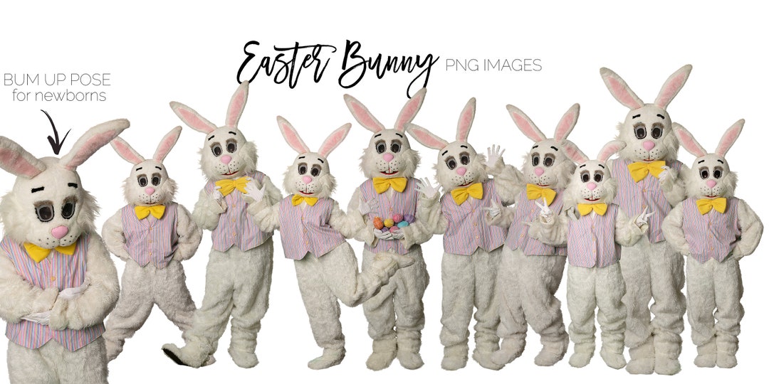Digital Photoshop PNG Easter Bunny Composite Images - Etsy