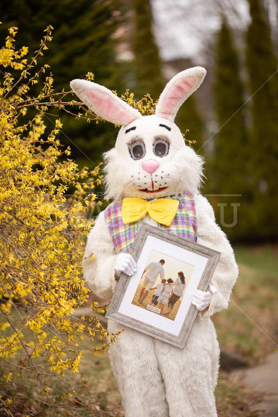 Digital Photoshop Template Easter Bunny Composite Image- Horizontal and ...