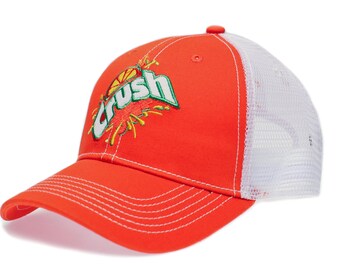 Bernie Sanders Elizabeth Warren 2016 Adult One-size Campaign Hat Cap ...