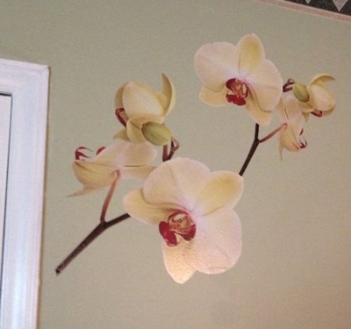 Orchid Flower Wall Decal Deco Art Sticker Mural FREE | Etsy