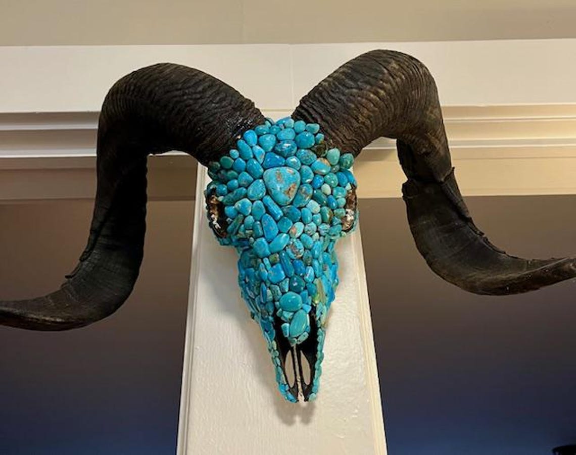 Turquoise Encrusted Dall Sheep Skull With Silver - Etsy