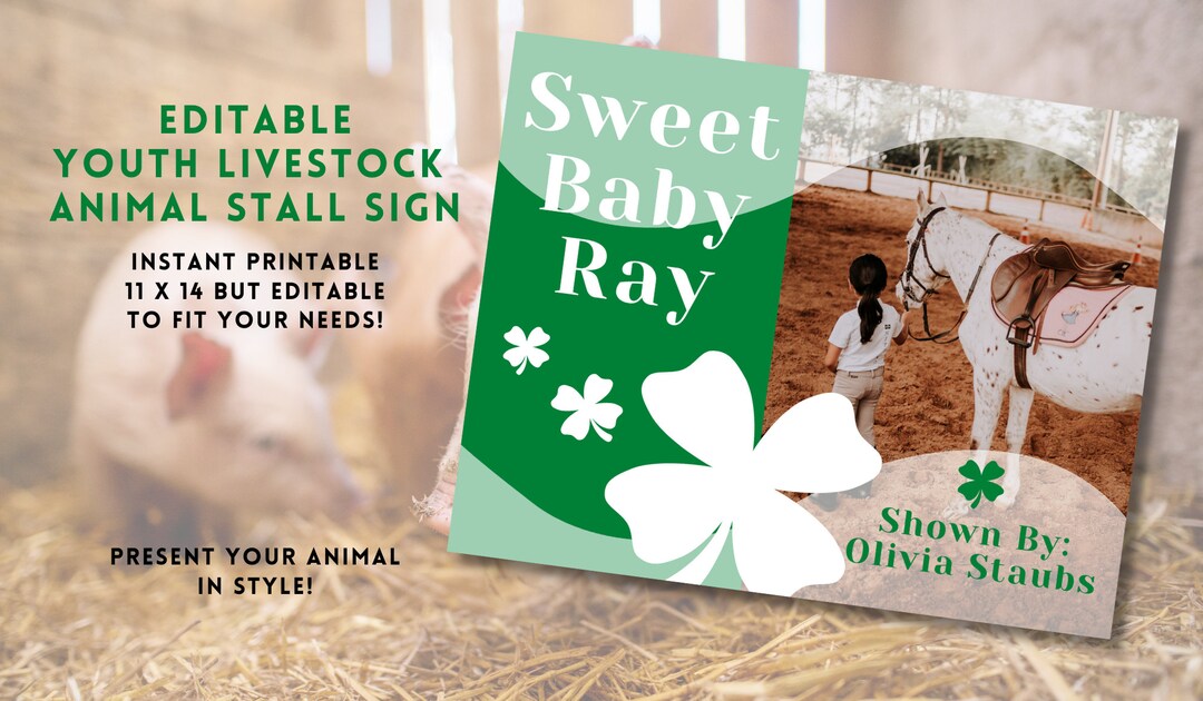 Marketing Your Animal Editable Fair Stall Livestock Sign, DIGITAL FILE ...