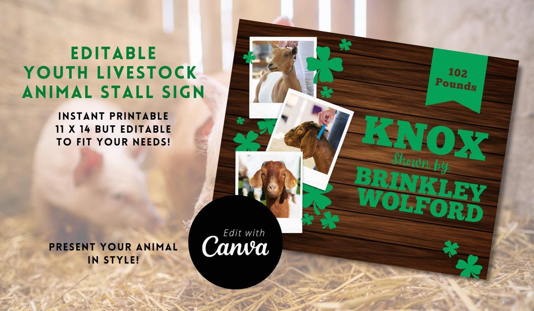 Marketing Your Animal Editable Fair Stall Livestock Sign, DIGITAL FILE ...