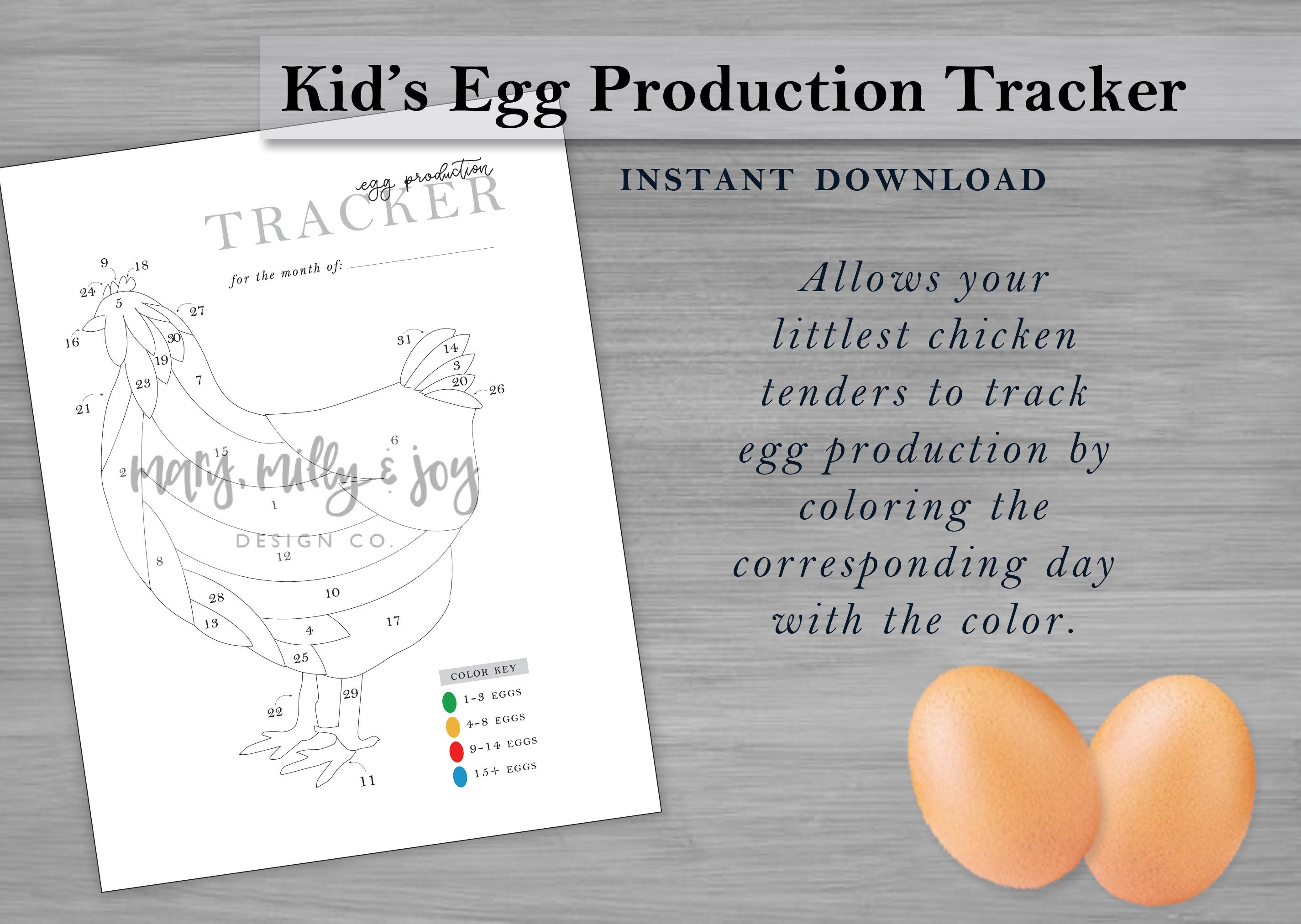 Printable Egg Production Color Sheet for Kids, Backyard Chicken Egg ...