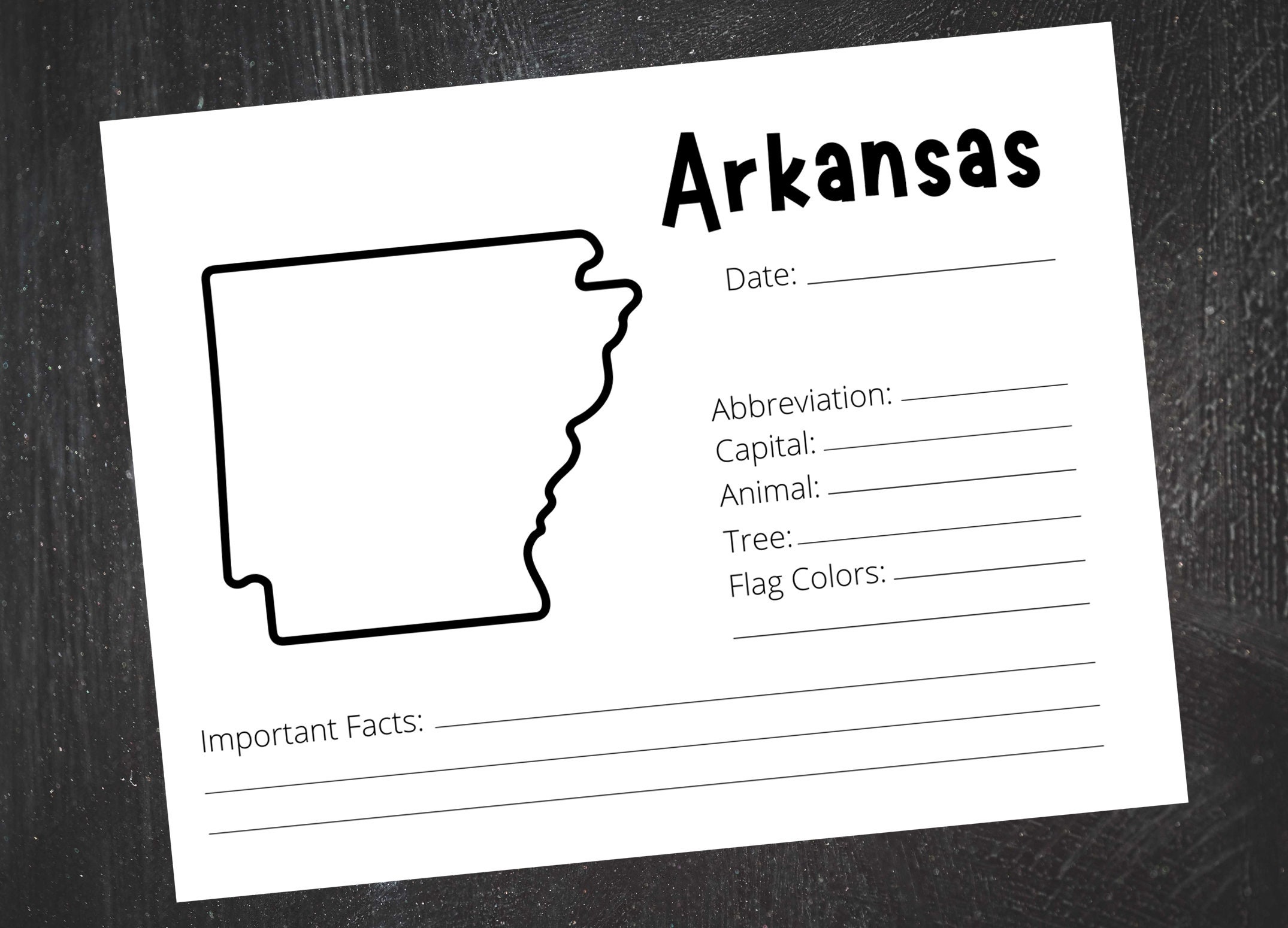 50 States Printable Download. PDF Worksheet - Etsy