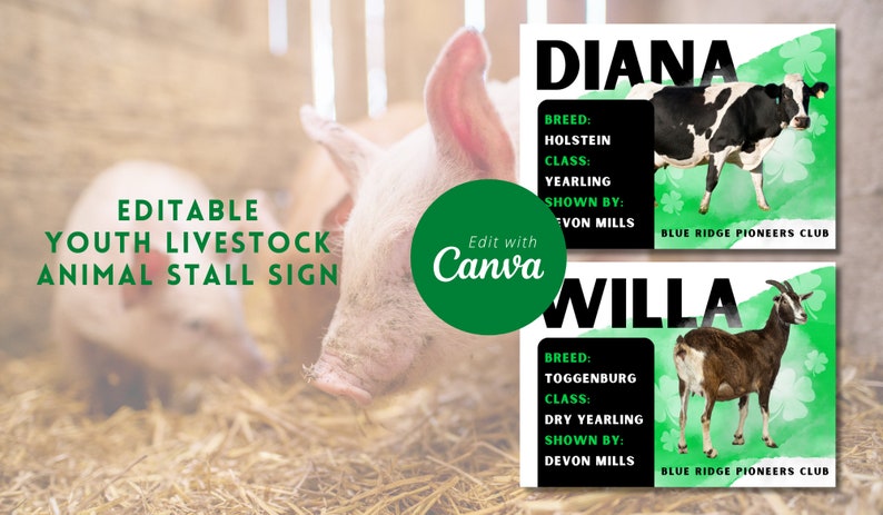 Marketing Your Animal Editable Fair Stall Livestock Sign - Etsy