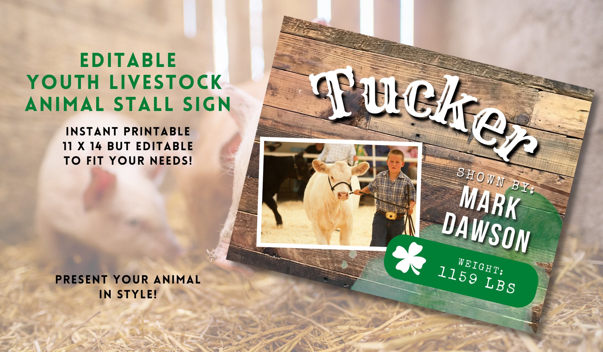 Marketing Your Animal Editable Fair Stall Livestock Sign, DIGITAL FILE ...