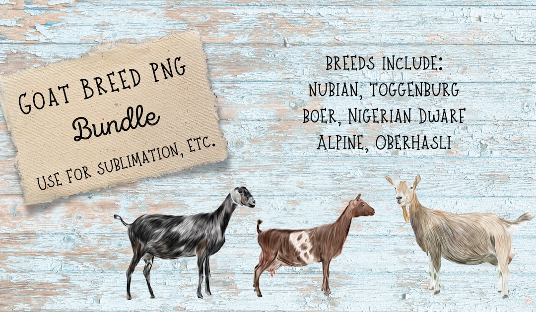 Goat Breeds Clip Art Graphics - Etsy