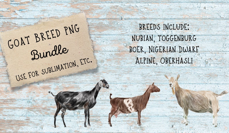 Goat Breeds Clip Art Graphics - Etsy