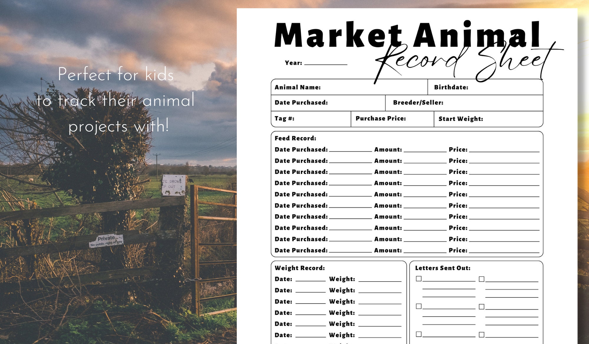 Kids Market Animal Tracker Sheet Instant Download - Etsy