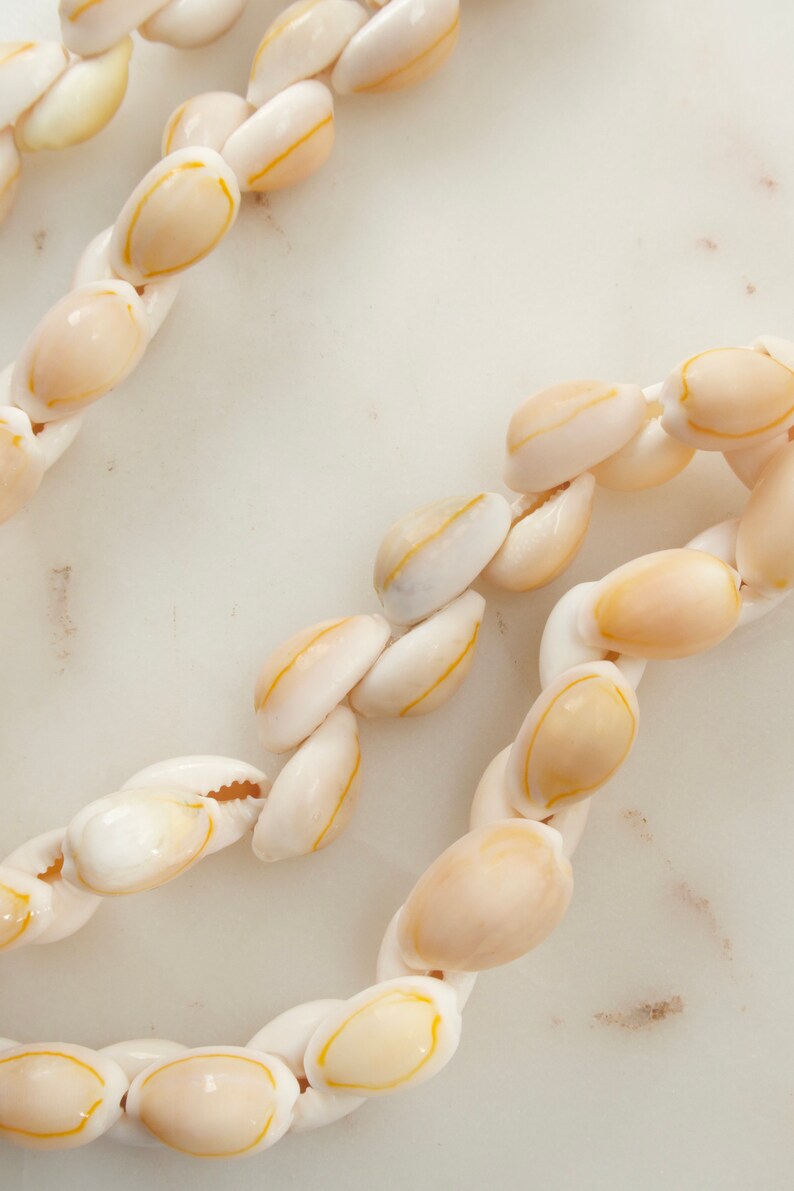 Vintage Sea Shell Bead Necklace - Etsy