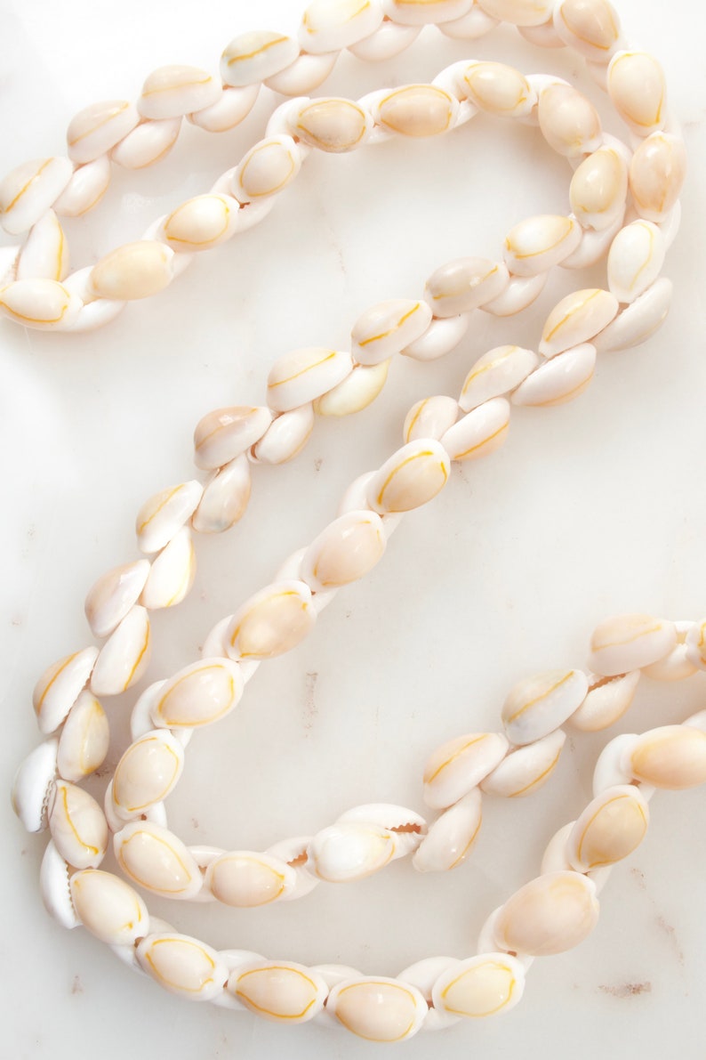Vintage Sea Shell Bead Necklace - Etsy