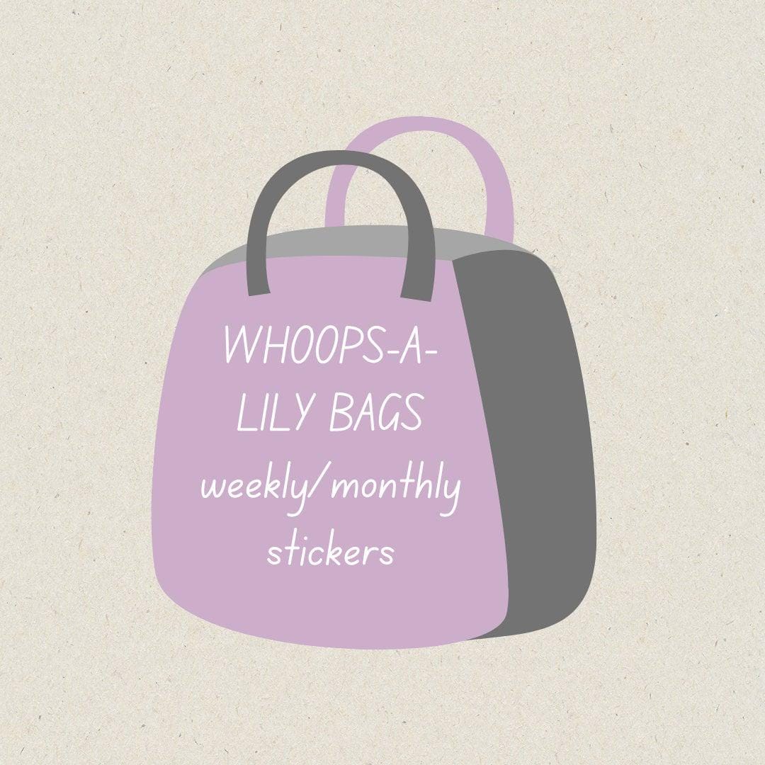 Whoops Sticker Bags, Miscut|misprint Sticker Mystery Grab Bags, Whoops ...