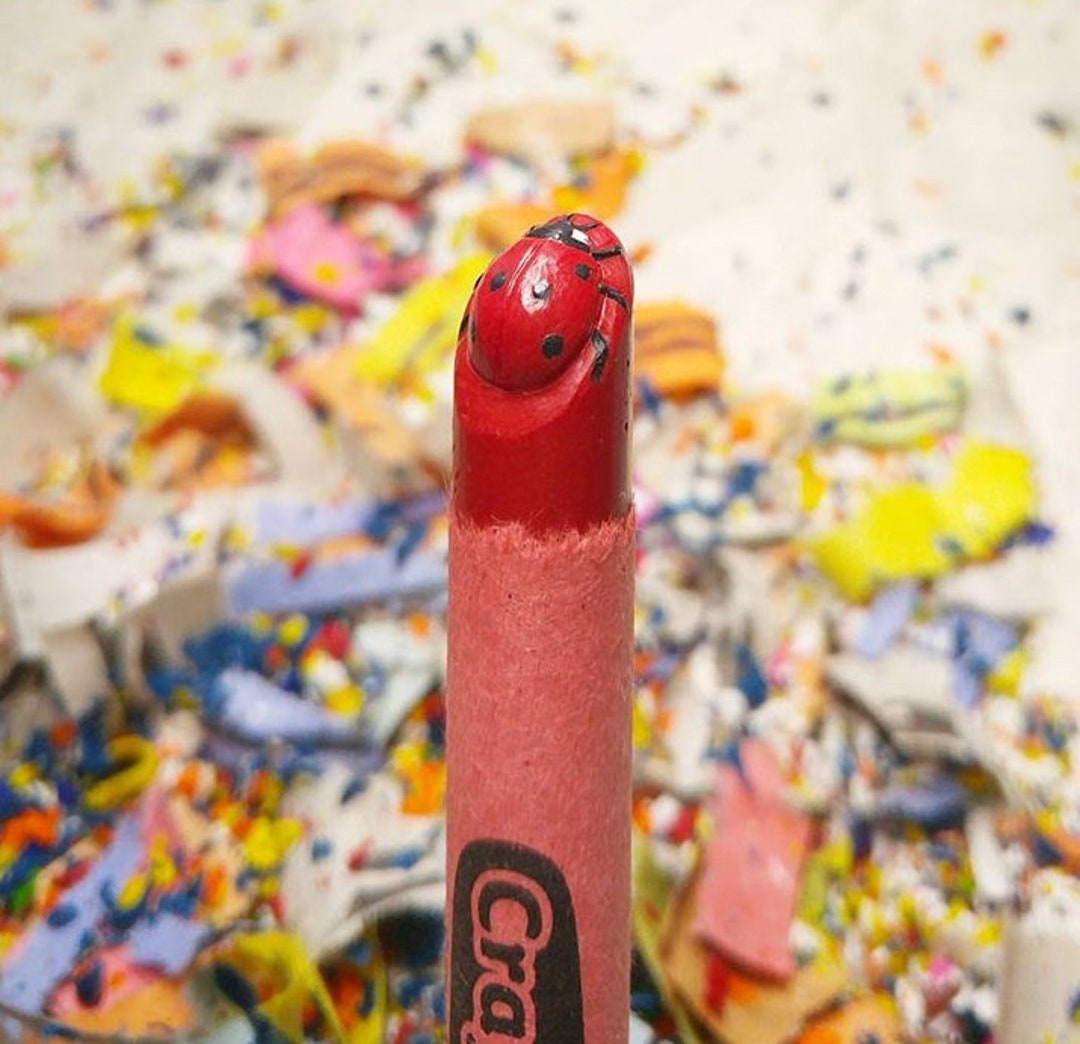 Ladybug Ladybird Beetle Crayon Carving - Etsy