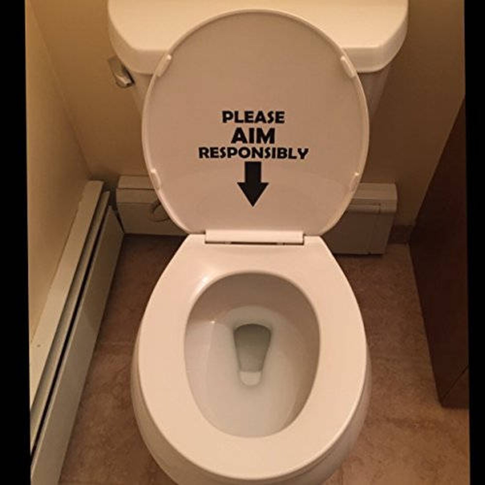 PLEASE AIM RESPONSIBLY Toilet Vinyl Sticker Decal Custom - Etsy Sweden