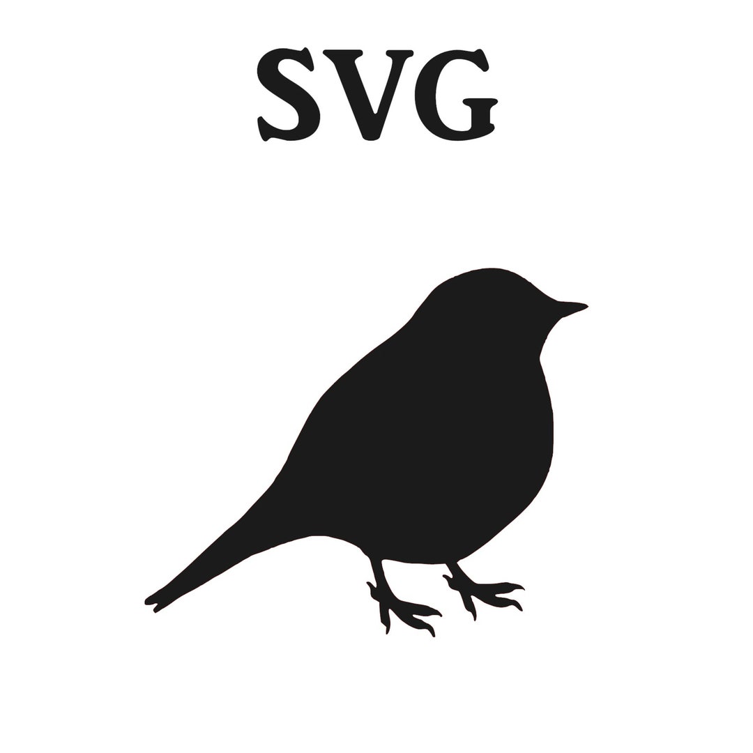 Bird SVG File, SVG Files for Cricut, Svg Files for Silhouette, Digital ...