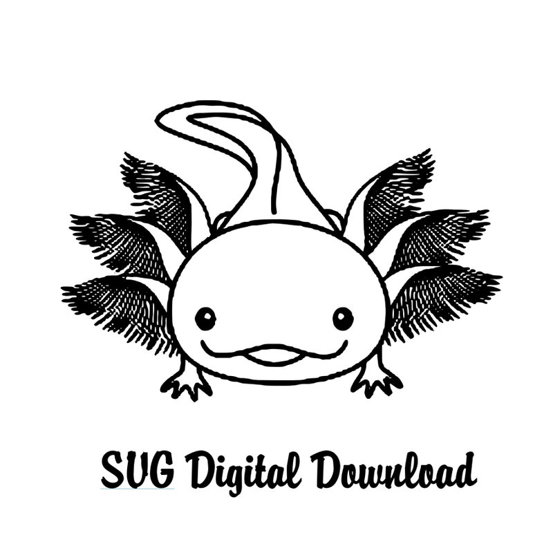 Axolotl Svg - Etsy