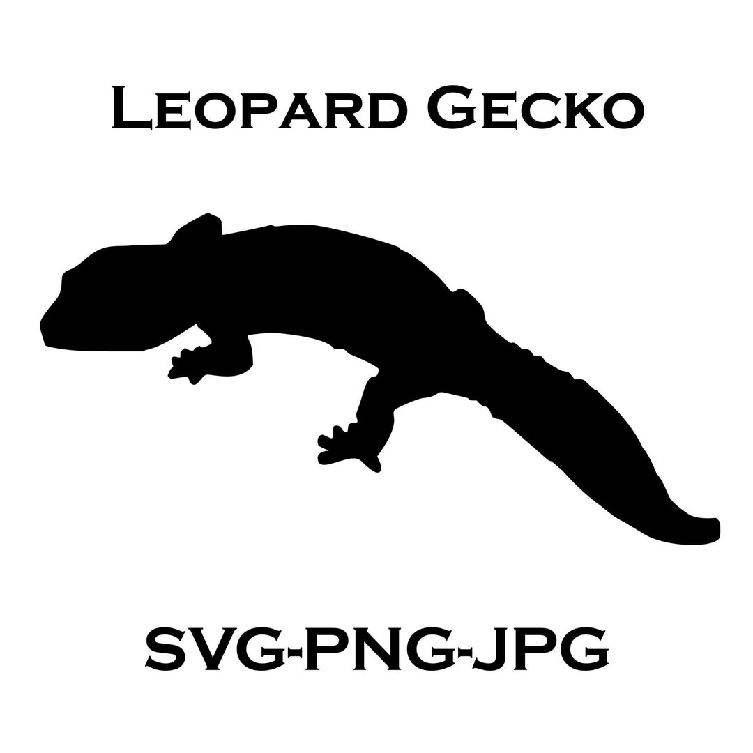 Gecko, Leopard Gecko Cricut, Leopard Gecko, Leopard Gecko SVG, Png, Jpg ...