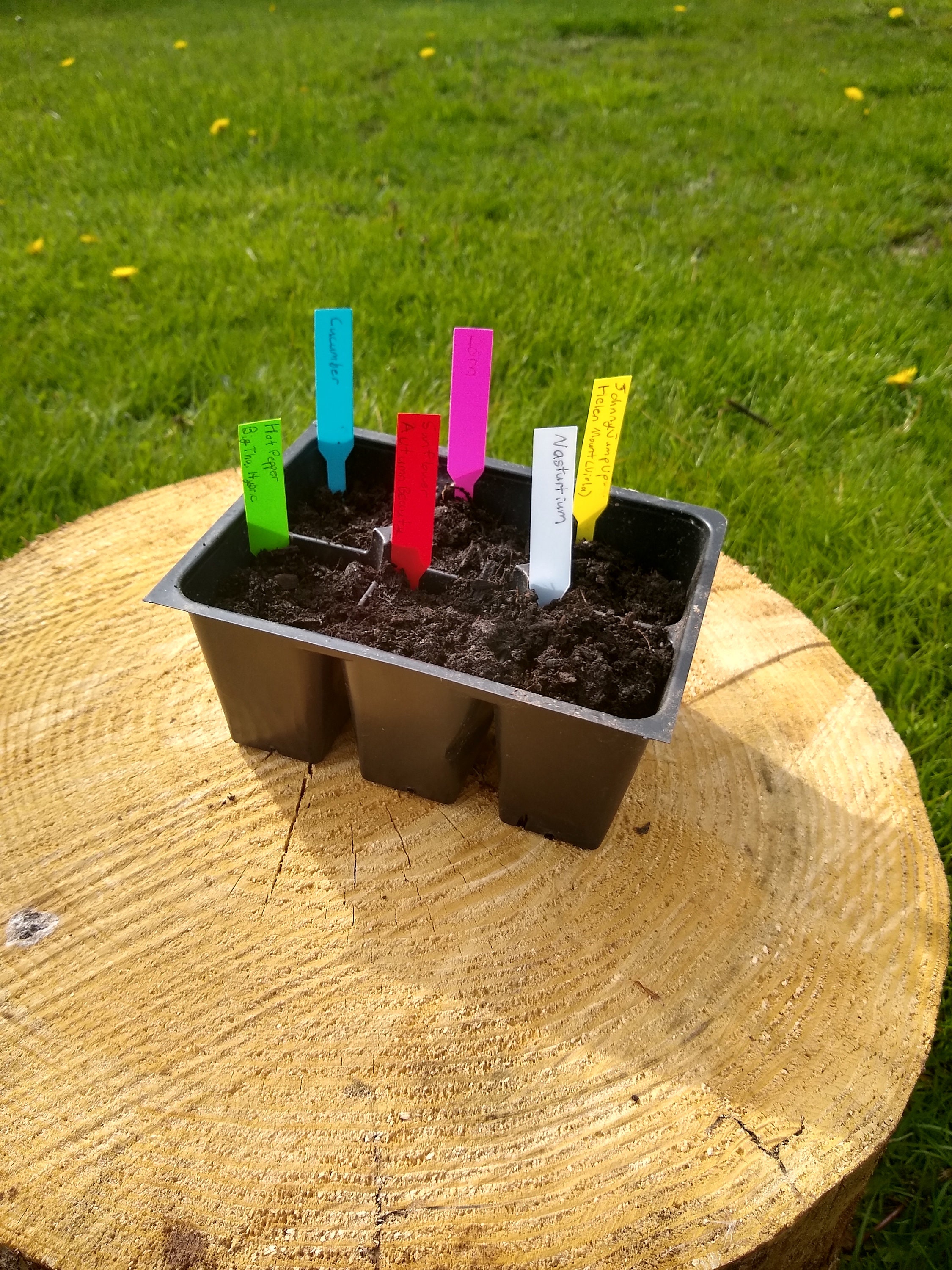 Plastic 4 Inch Plant Markers - Etsy