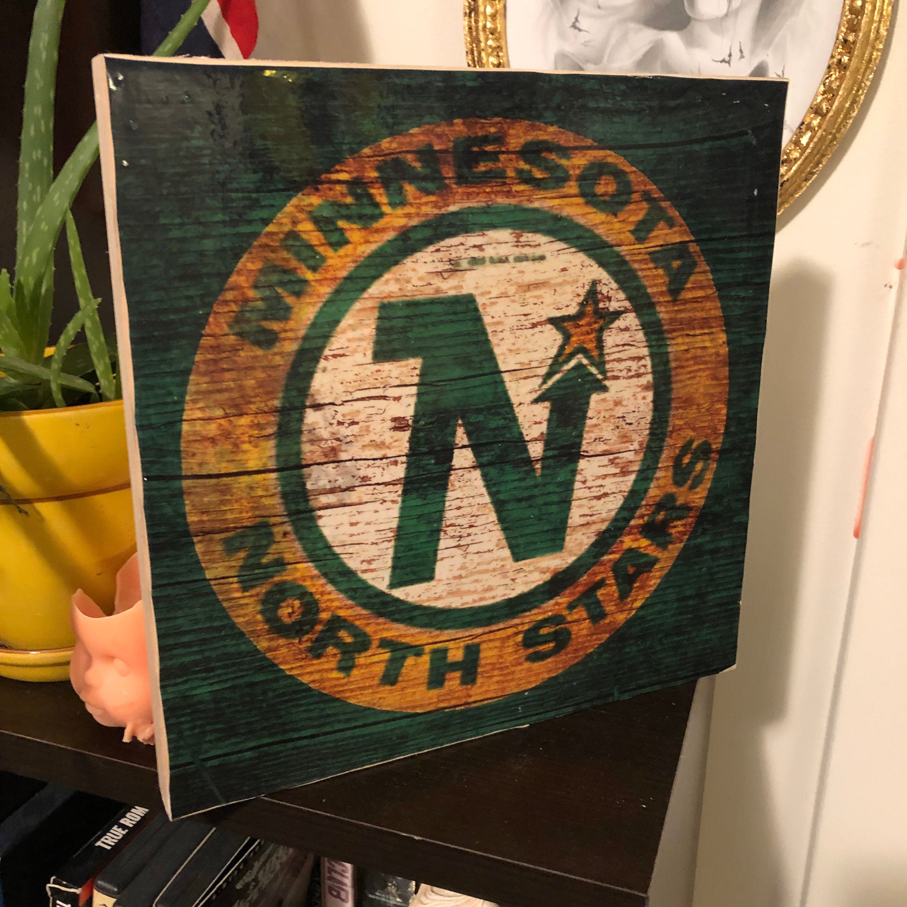 Minnesota North Stars Logo
