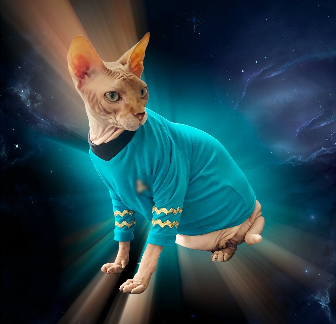 TOS Science Uniform for Sphynx Cat - Etsy