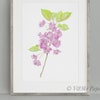Botanical Alphabet Personalised Initial and Name Illustration Nursery ...