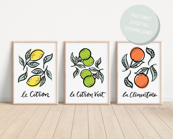Set of 3 French Citrus Fruit Printable Art Poster Bundle - Etsy