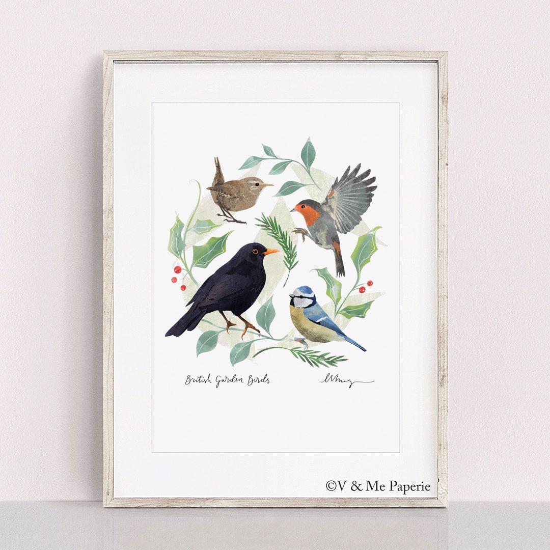 British Wildlife Collection BRITISH GARDEN BIRDS Blackbird, Robin, Wren ...