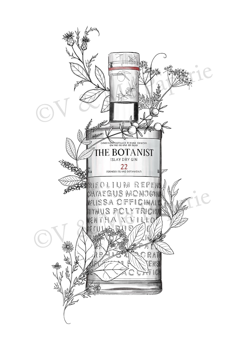 The Botanist Gin Bottle Floral Botanical Illustration Art - Etsy