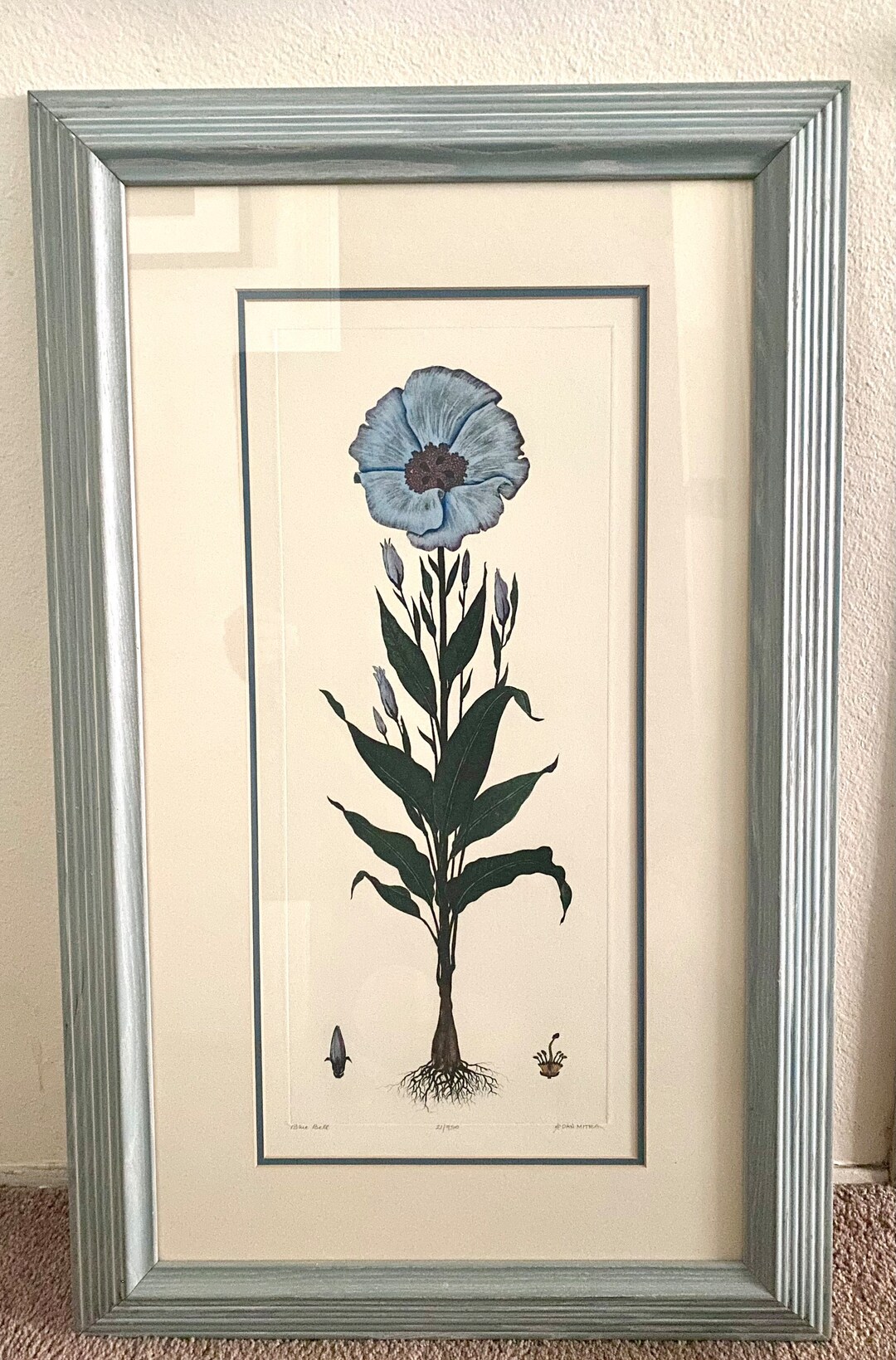 Blue Bell Etching - Signed Dan Mitra - Professionally Framed by ...
