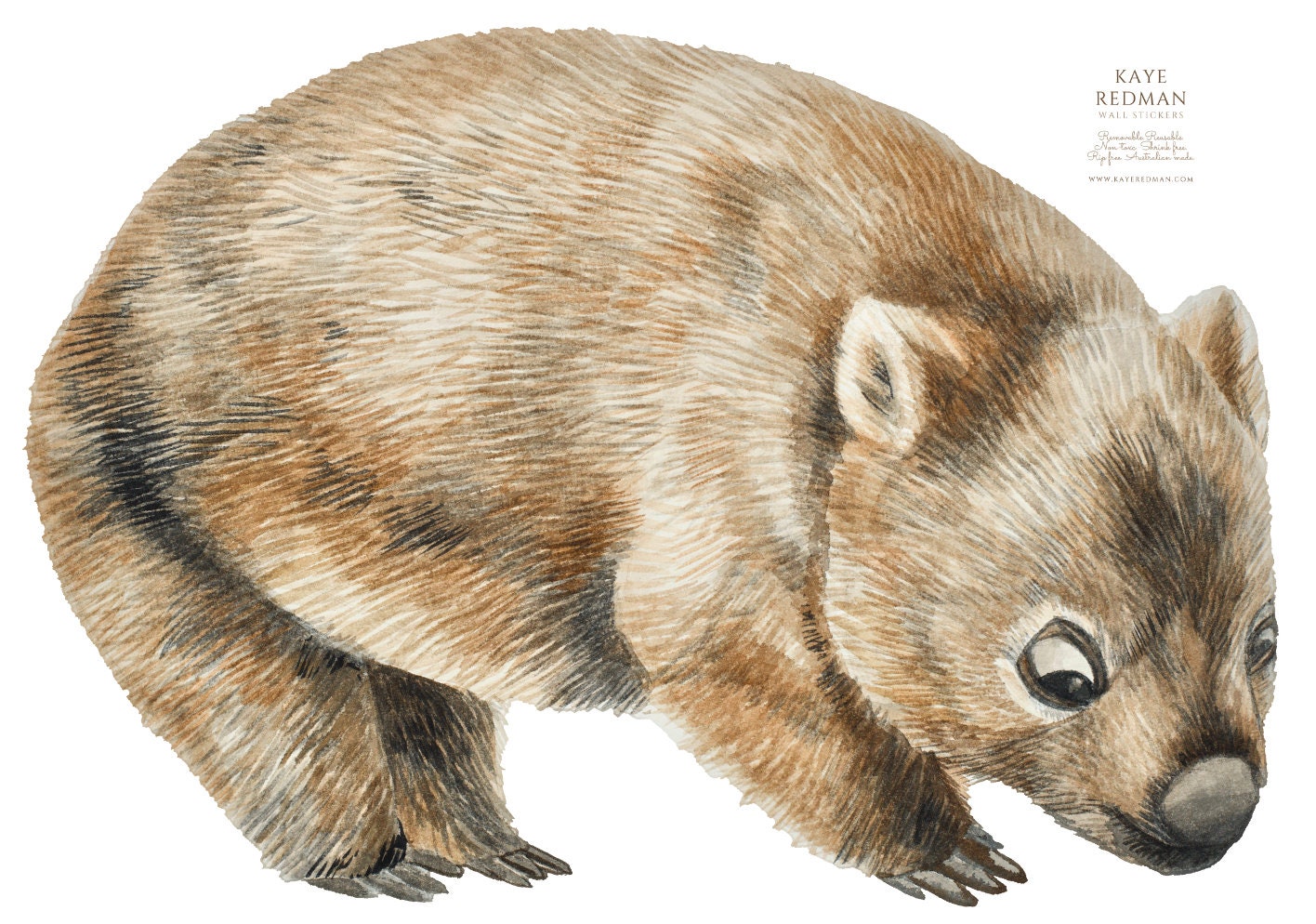Australian Wombat Decal / Wall Sticker / Aussie Animals / Kids | Etsy