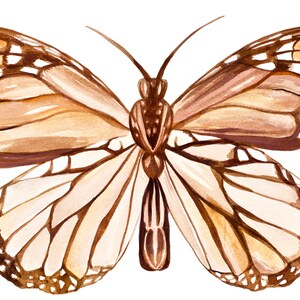 Boho Butterfly Decals / Wall Stickers / Kids Bedroom / Wall - Etsy
