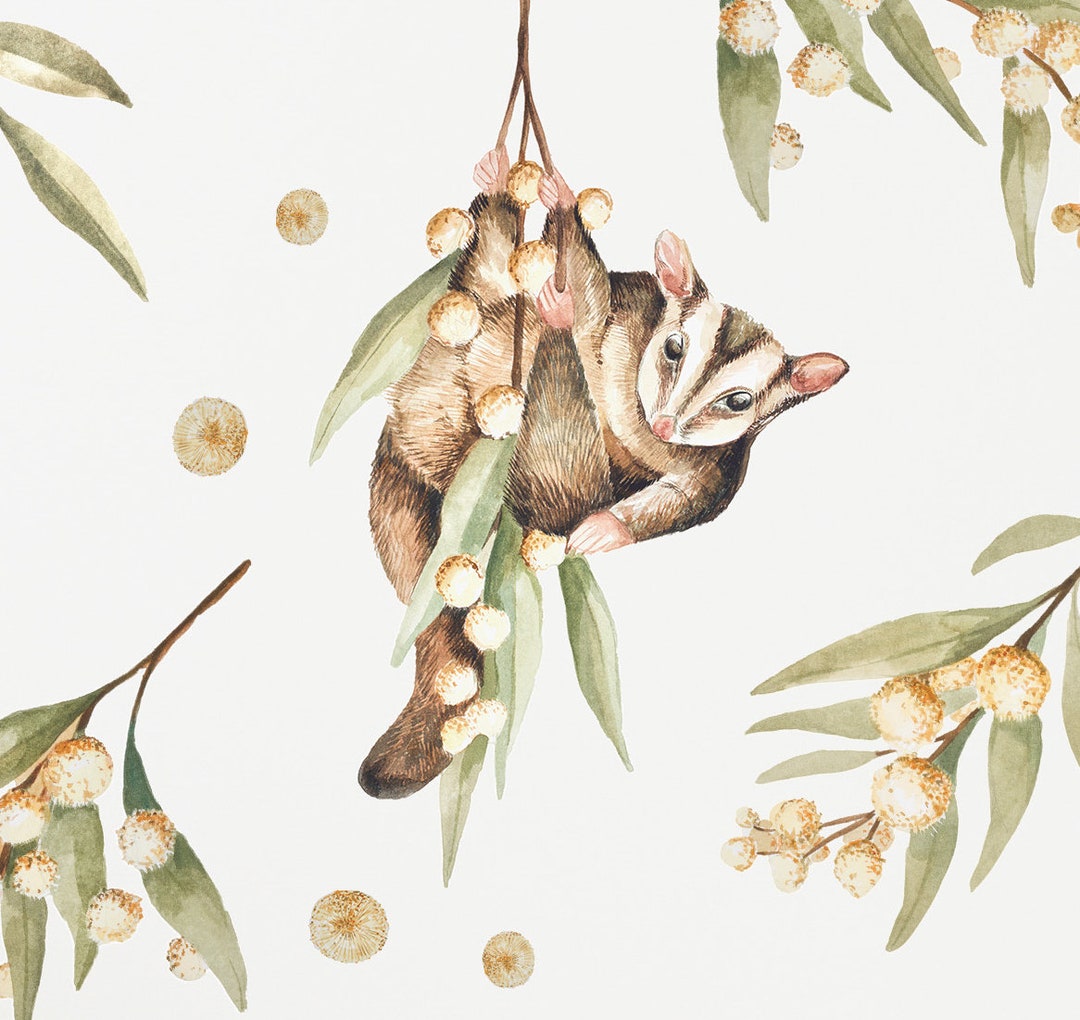 Sugar Glider Decal / Australian Animals / Wall Stickers / Wall Art ...